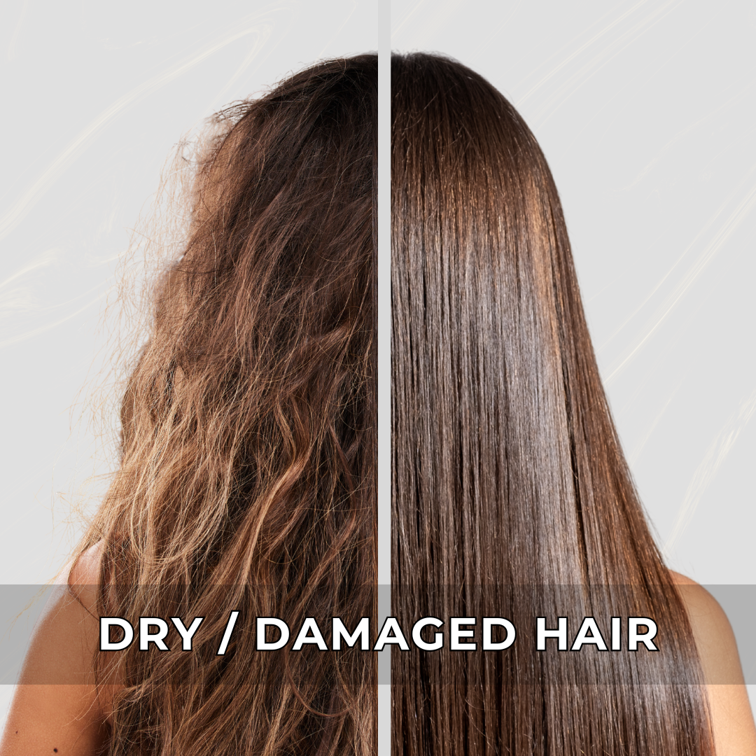 Best Products for Dry Damaged Hair Repair & Hydration | Bella Rio